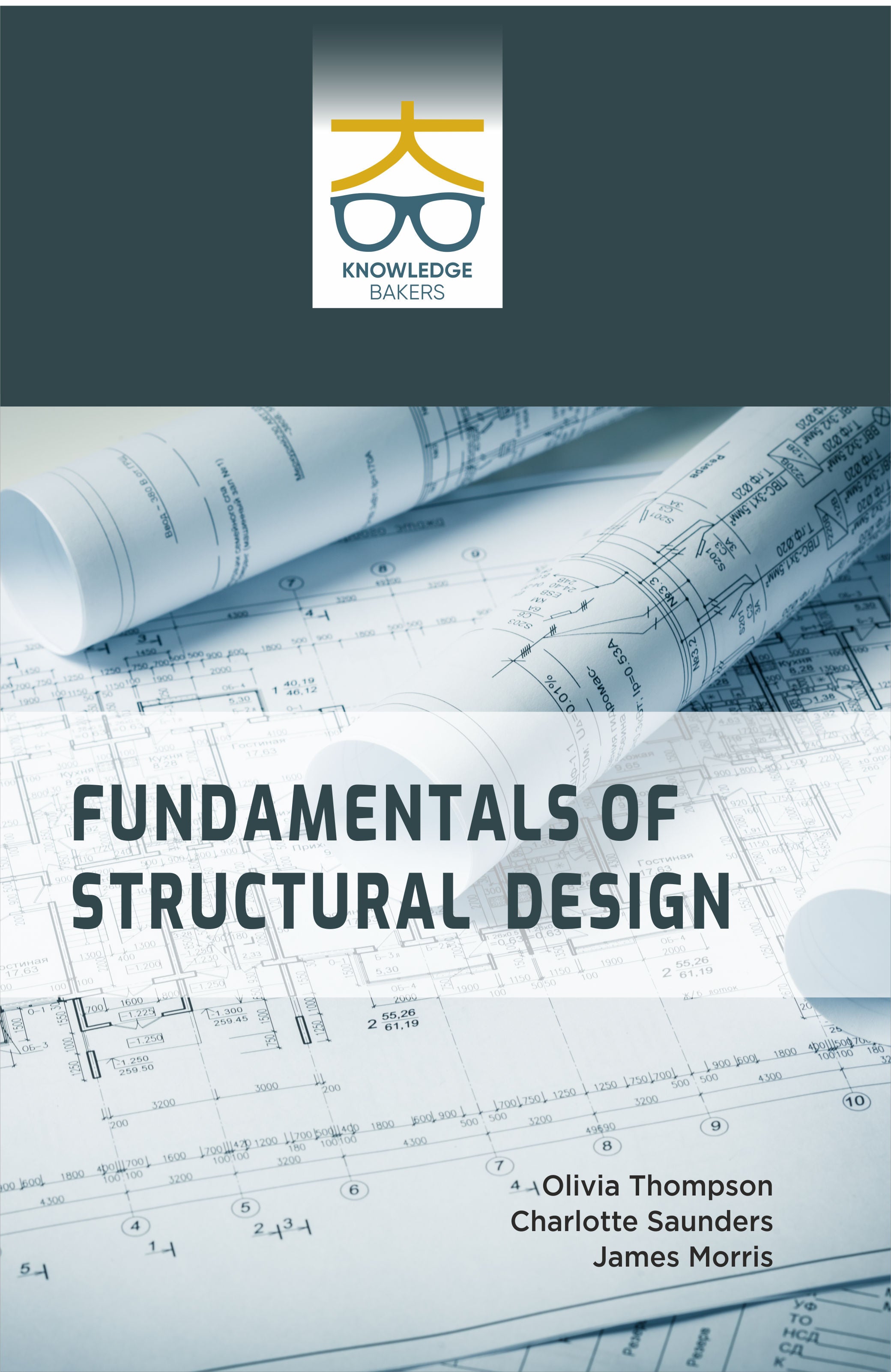 Fundamentals of Structural Design By Liam Anderson – jainbookmart